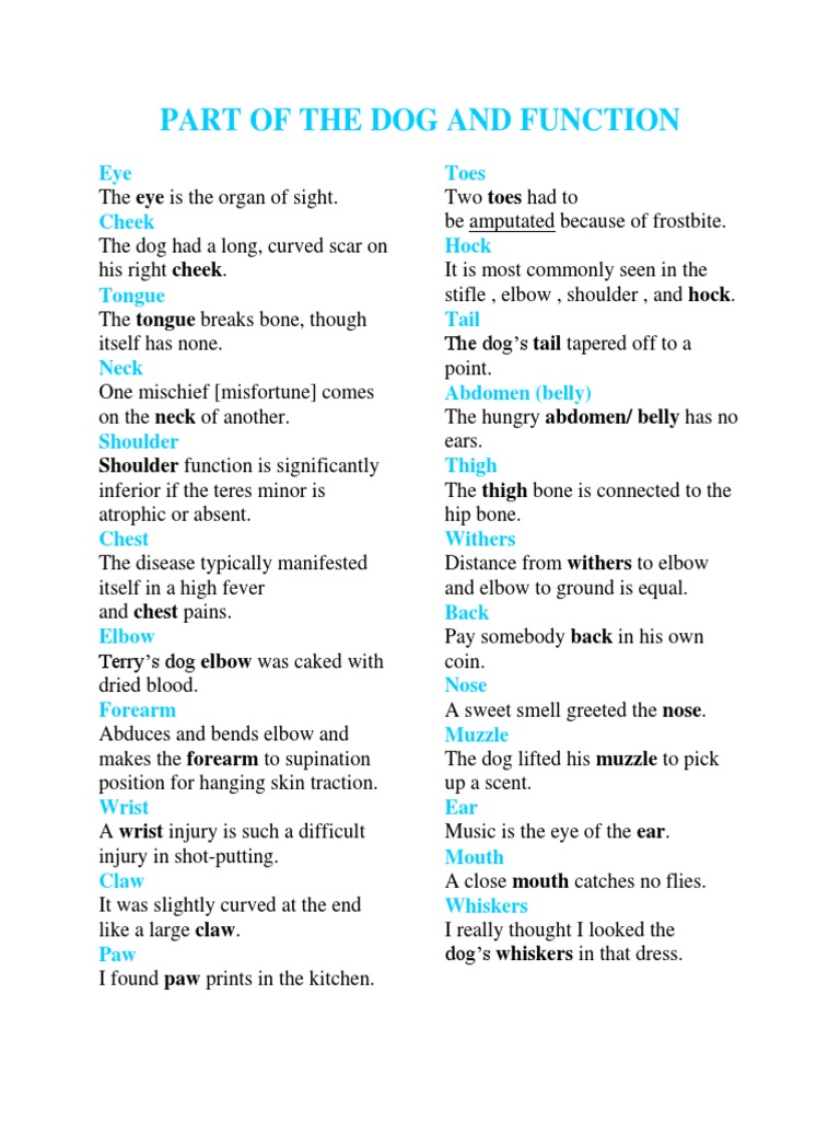 Dog Body Parts and Their Functions | PDF | Beak | Fish