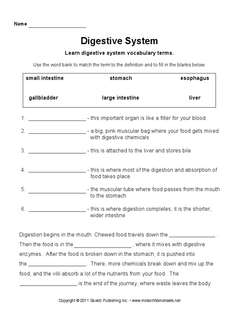 Digestive System | PDF | Human Digestive System | Bile
