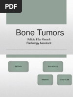 Imaging of The Ear - X Ray of The Temporal Bone, Schuller's Projection ...