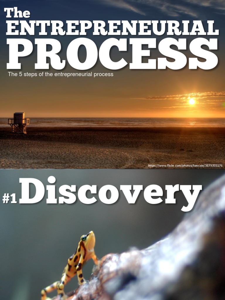 Entrepreneurial: Process | PDF | Entrepreneurship | Business Economics