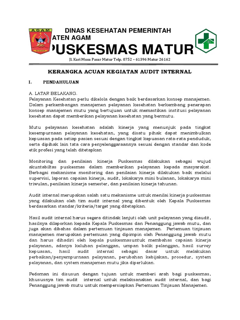 Pedoman Audit Internal Puskesmas | PDF | Karier & Perkembangan