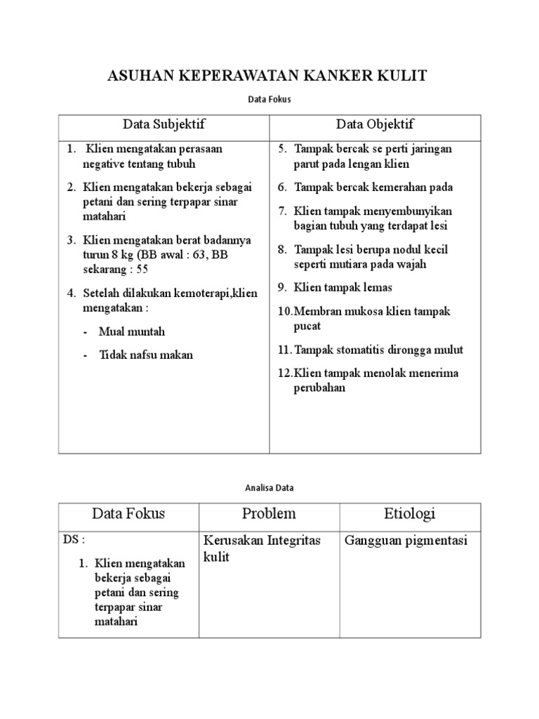 Contoh Data Objektif Keperawatan - Perumperindo.co.id