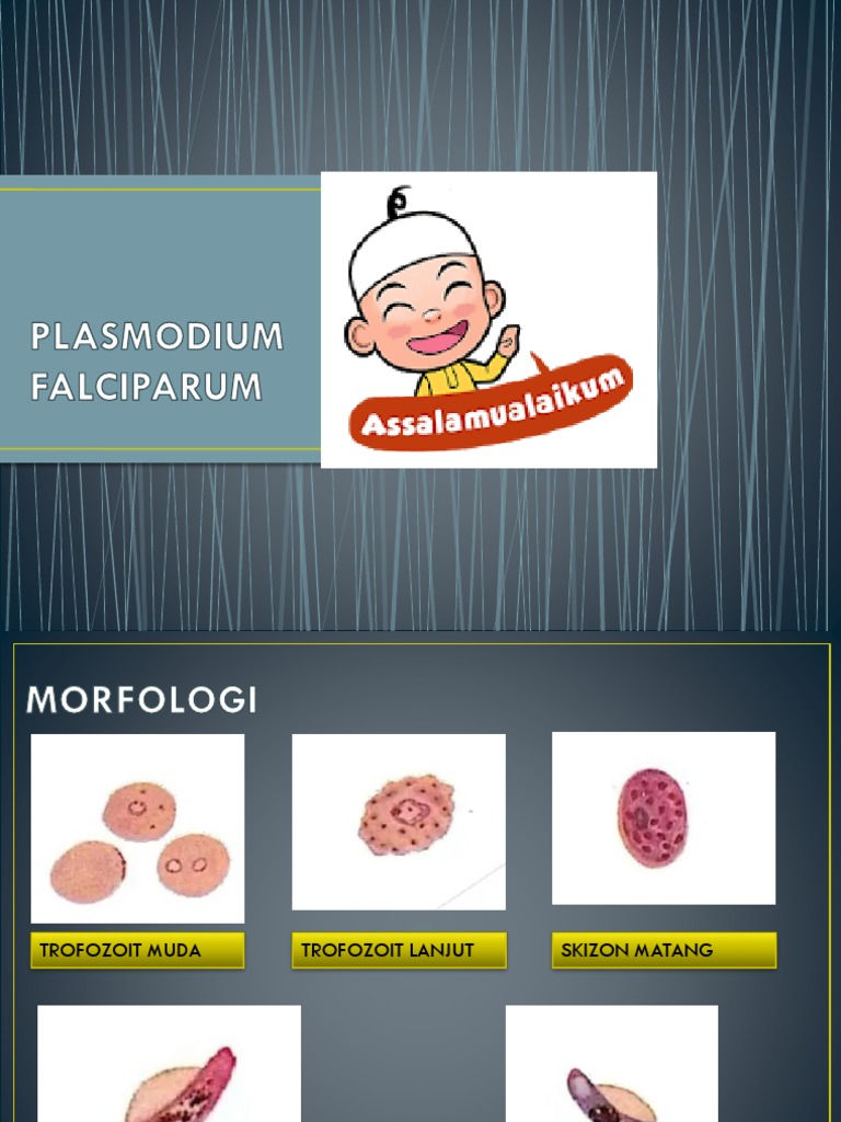 Plasmodium Falciparum | PDF