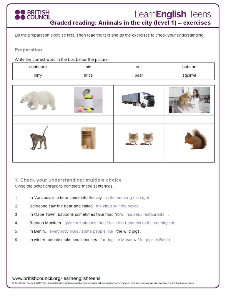 Animals in The City Level 1 - Exercises 1 PDF | PDF