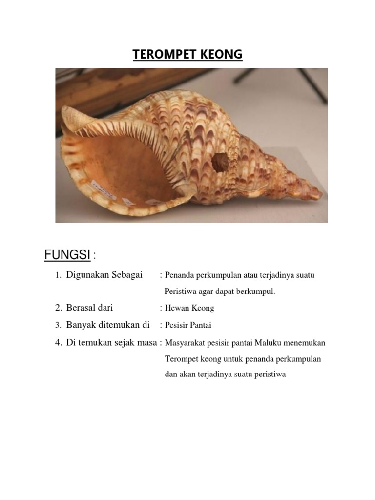 Terompet Keong: Fungsi | PDF