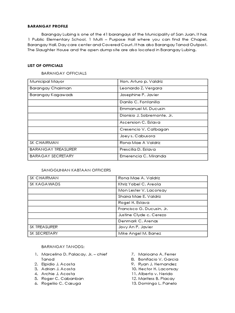 Barangay Profile | PDF | Local Government | Philippines