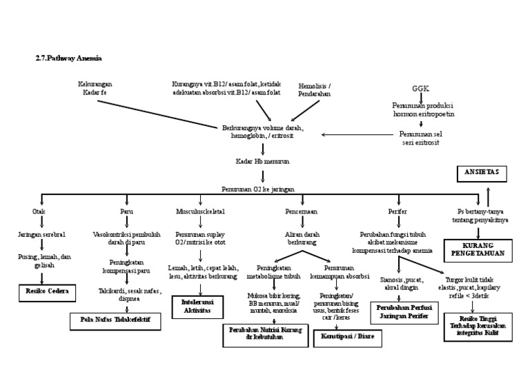 Pathway Anemia | PDF