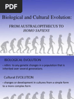 10 Fastest Animals in The World | PDF