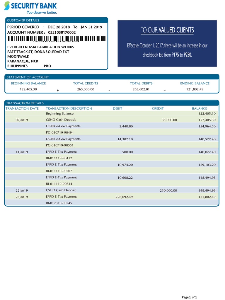 Account Statement | PDF | Debits And Credits | Corporate Jargon