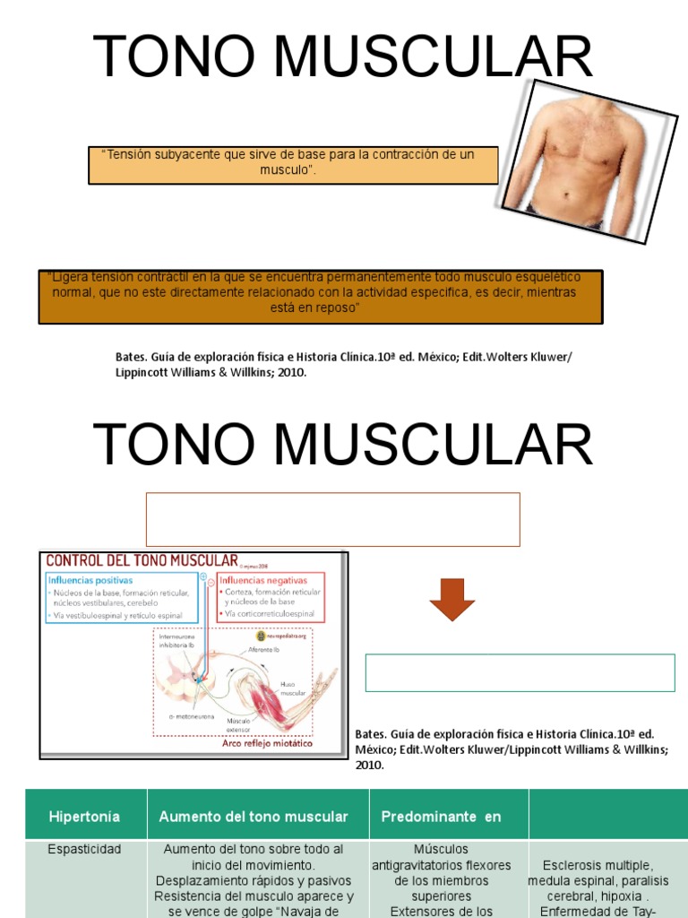 Tono Muscular | PDF | Atrofia | Músculo