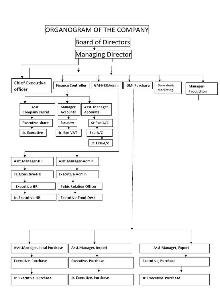 Organogram of The Company | PDF
