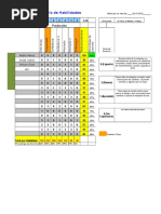 Matriz de Habilidades Iluo | PDF