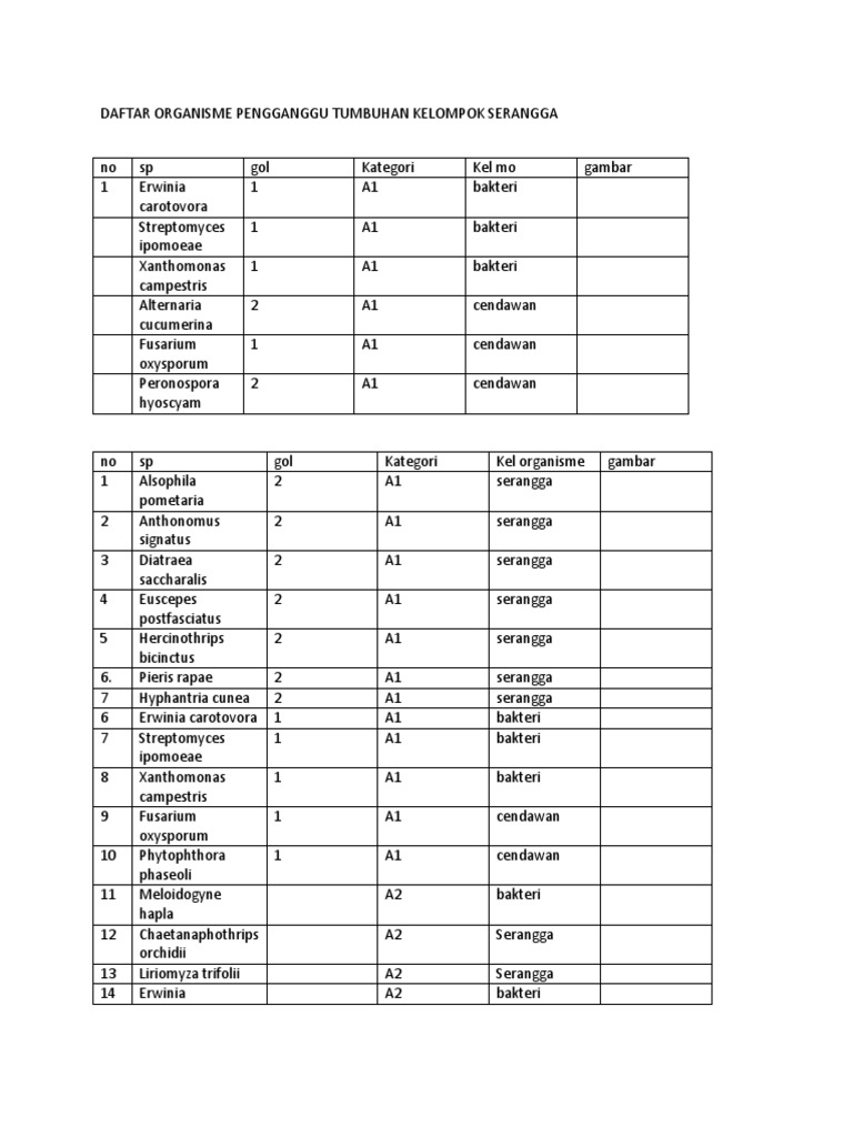 Optk A1 Dan A2 | PDF