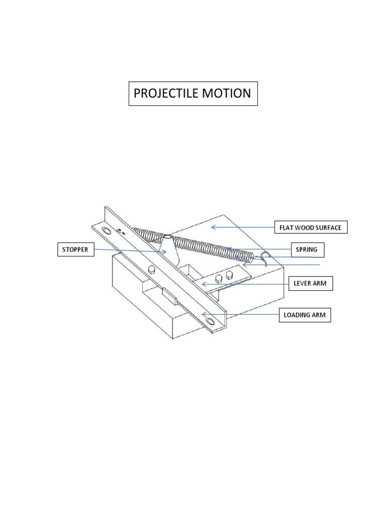 Projectile Motion: Flat Wood Surface | PDF