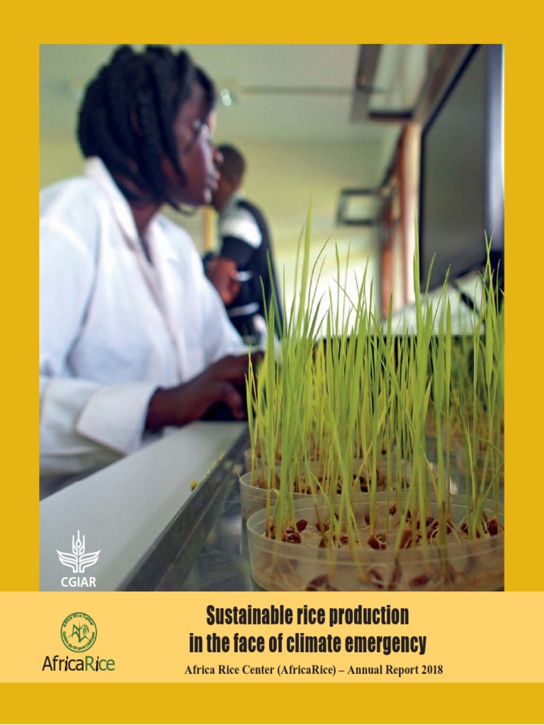 AfricaRice Annual Report 2018 Highlights Work On Sustainable Rice ...