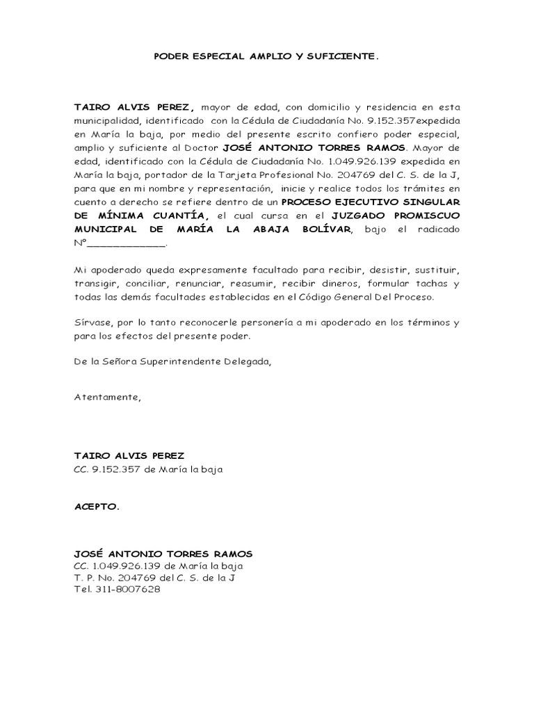 Poder Especial Amplio y Suficiente | PDF | Gobierno