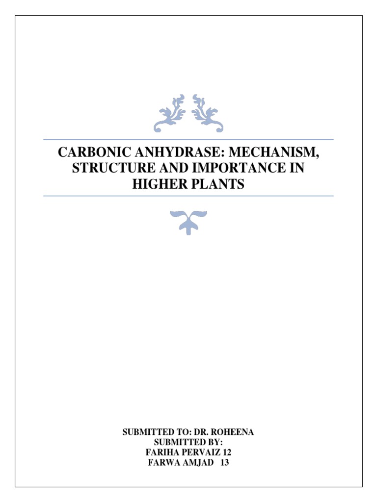 Carbonic Anhydrase: Mechanism, Structure and Importance in Higher ...