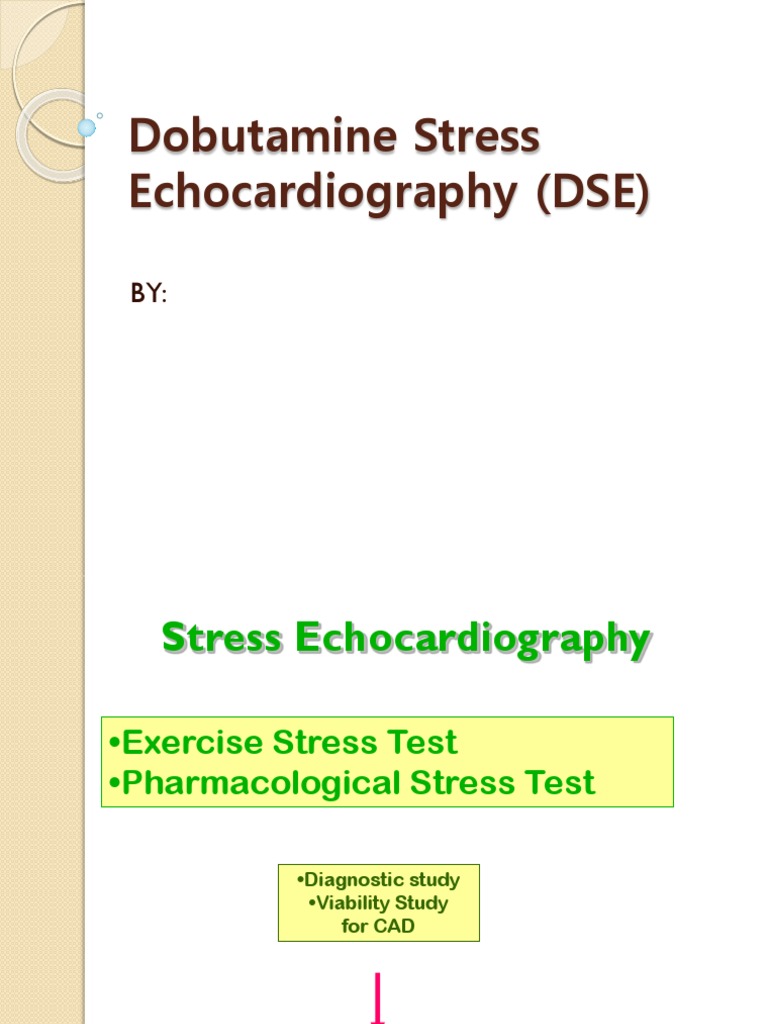 Dobutamine Stress Echocardiography (DSE) | PDF | Echocardiography ...