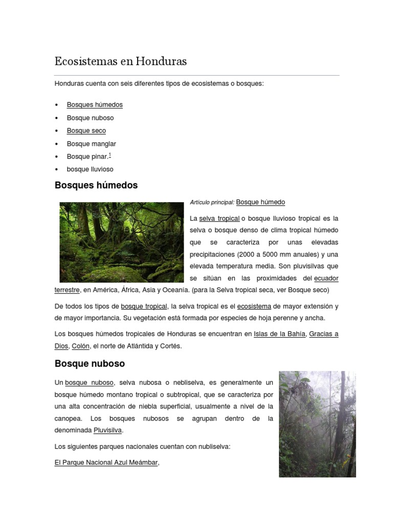 Ecosistemas Naturales de Honduras | PDF | Selva | Arboles
