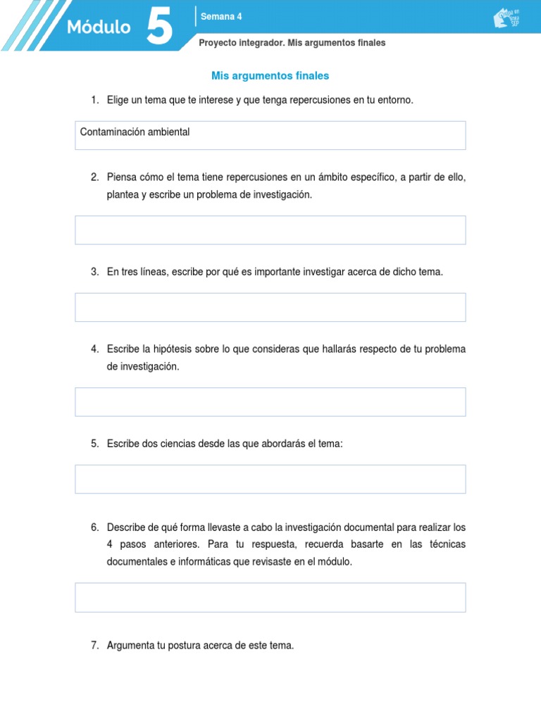 Proyecto Integrador. Mis Argumentos Finales | PDF