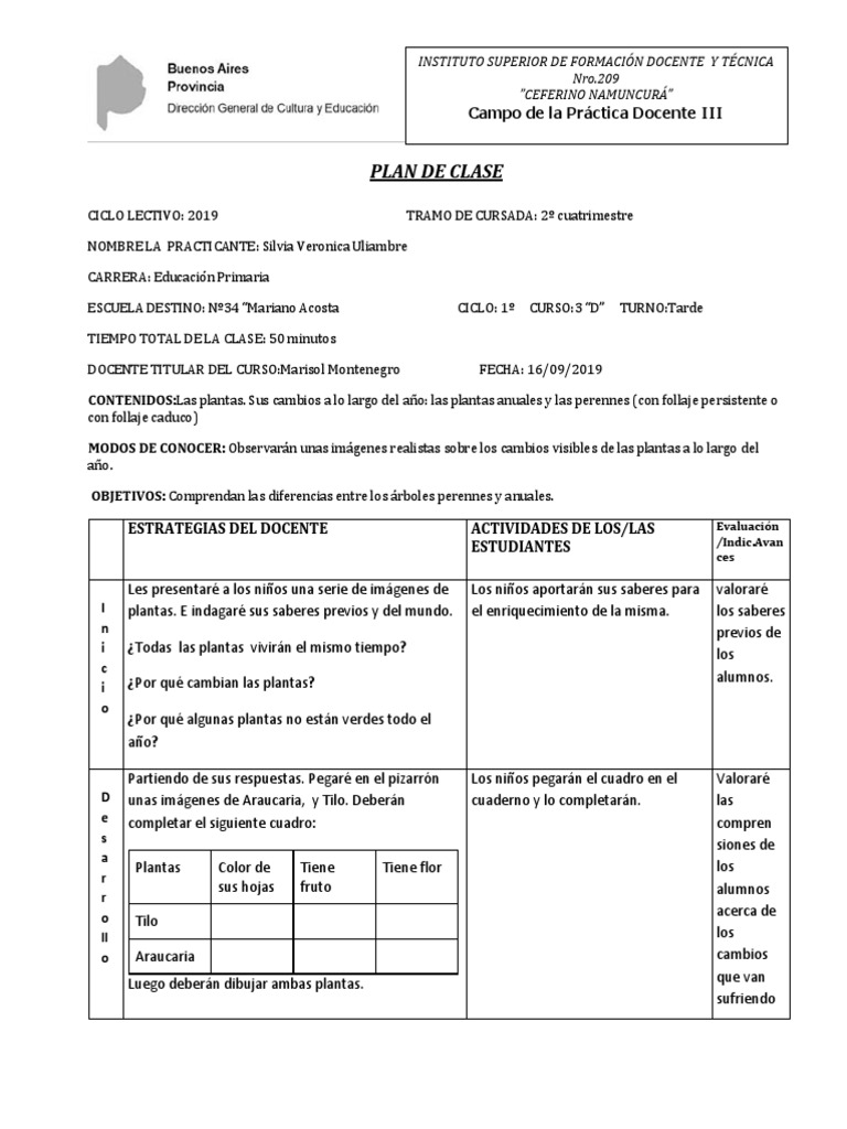 Cambios en Las Plantas | PDF | Plantas | Hoja