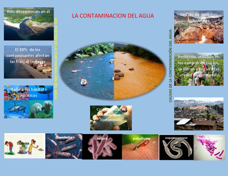 Los impactos de la contaminación del agua en los ecosistemas acuáticos ...