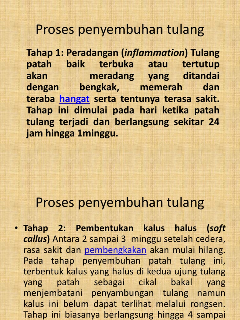 Proses Penyembuhan Tulang | PDF | Kesehatan Holistik | Sains & Matematika