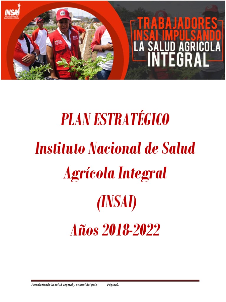 Plan Estrategico Insai | PDF | Planificación | Agricultura