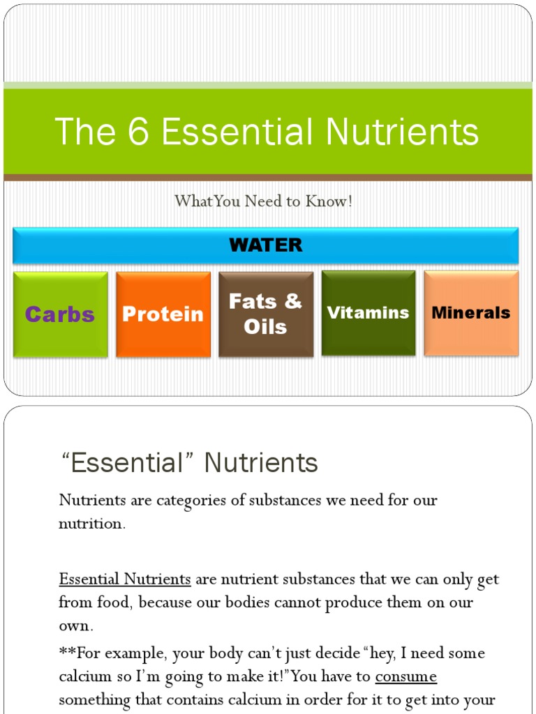 The 6 Essential Nutrients: Carbs | PDF | Nutrients | Carbohydrates