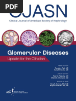 KDIGO (2021) Glomerular Diseases Guideline 2021 English | PDF | Clinical Medicine | Medical ...