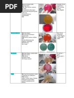 Prueba de Pyr | PDF | Estreptococo | Microbiología