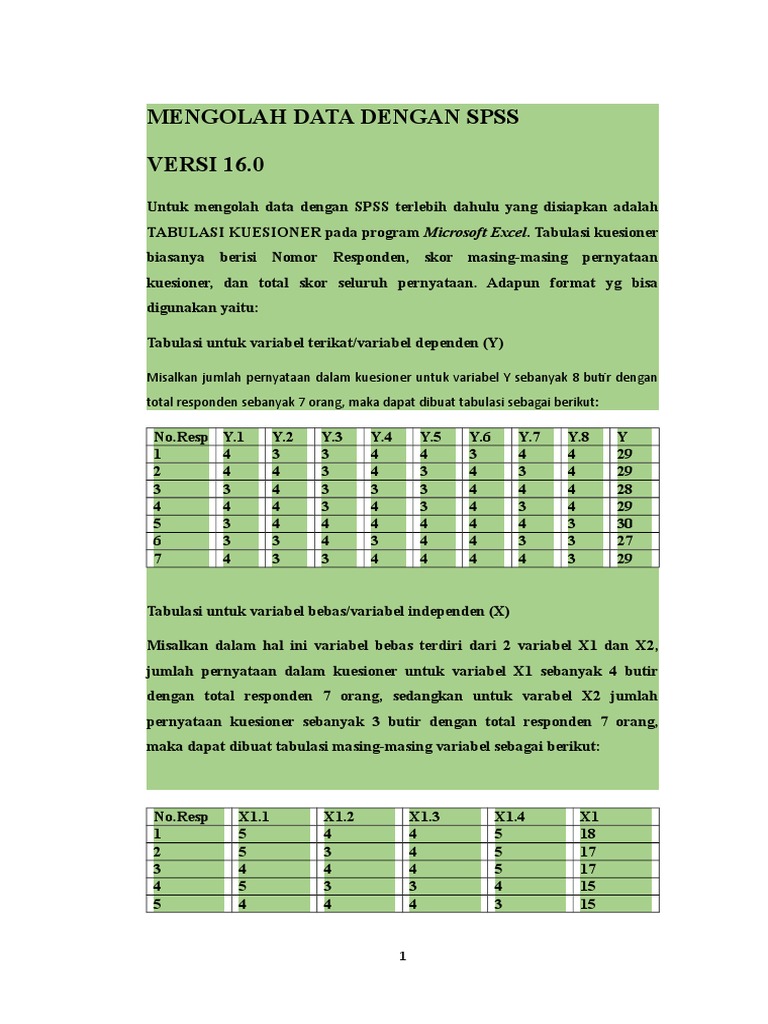 Catatan Olah Data SPSS Skripsi | PDF