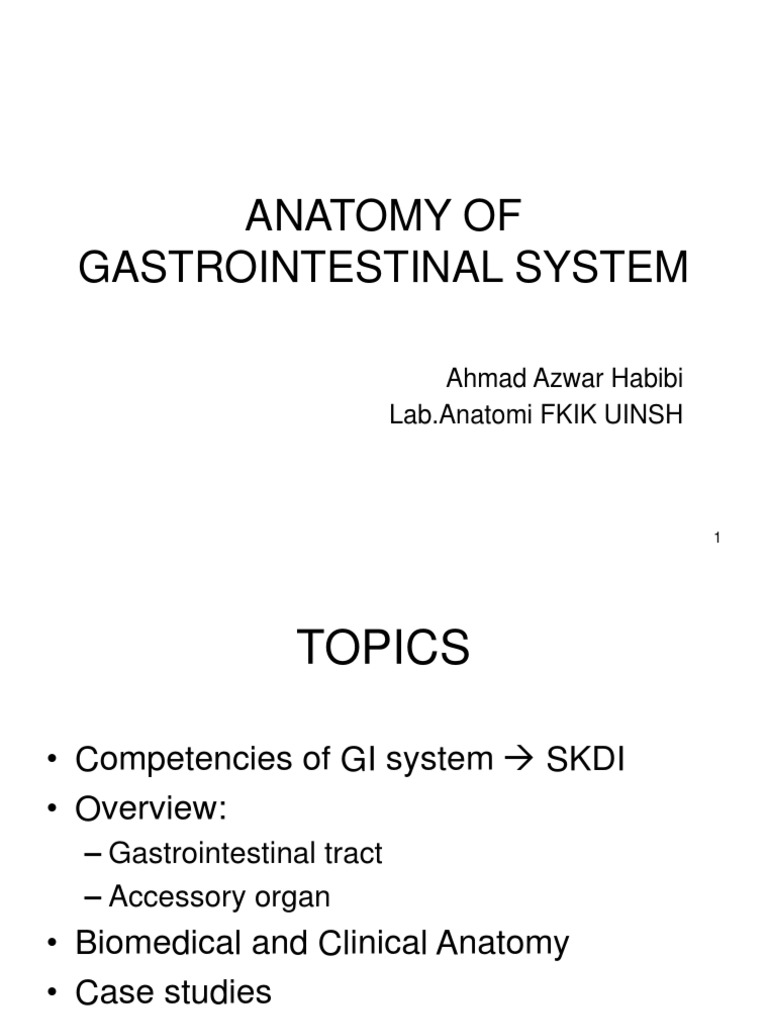 Anatomi Gi Dr Ahmad Download Free Pdf Pancreas Peritoneum