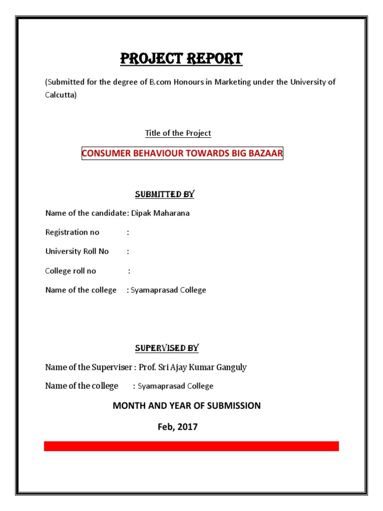 Project Report: Consumer Behaviour Towards Big Bazaar | PDF | Business