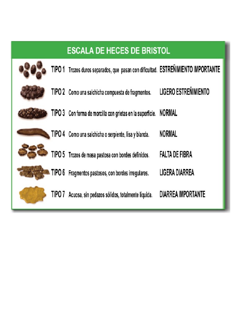 Escala de Bristol | PDF