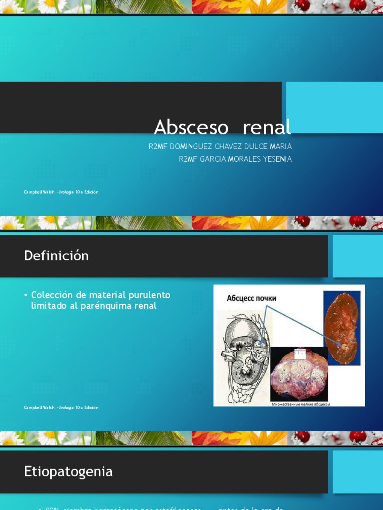 Abscesos renales y perirrenales: Etiología, presentación clínica ...