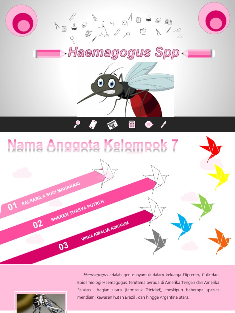 Haemagogus SPP | PDF
