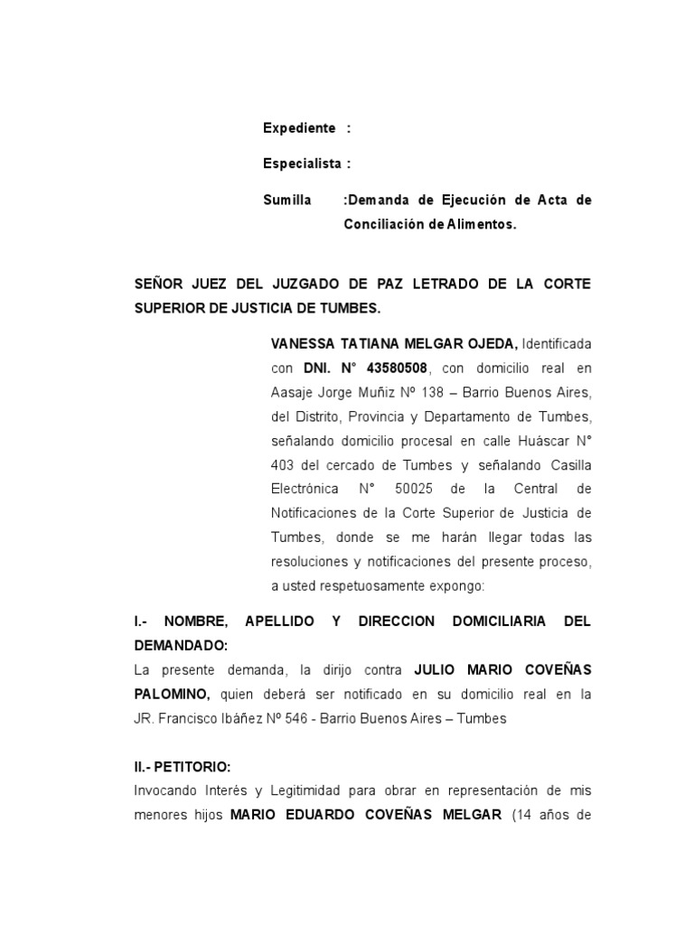 Demanda de Ejecucion de Acta de Conciliacion de Alimentos de Aldo | PDF | Ley constitucional ...
