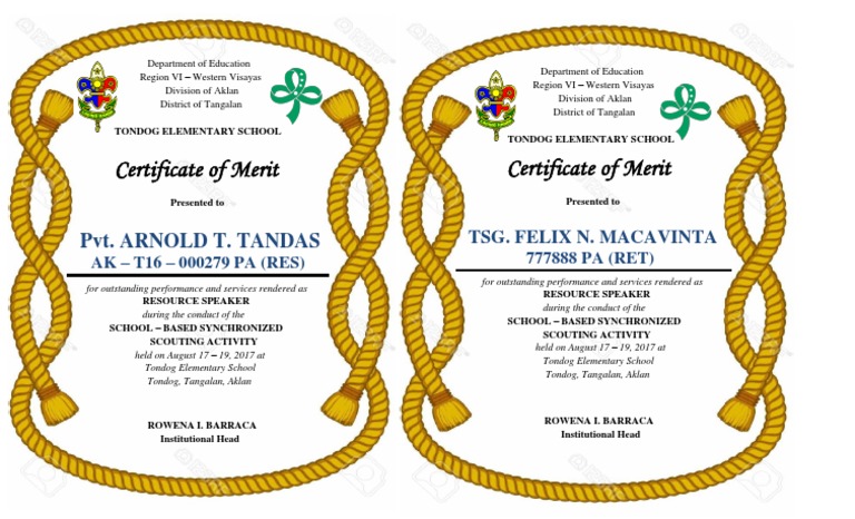 BSP and GSP Certificate ADULT | PDF