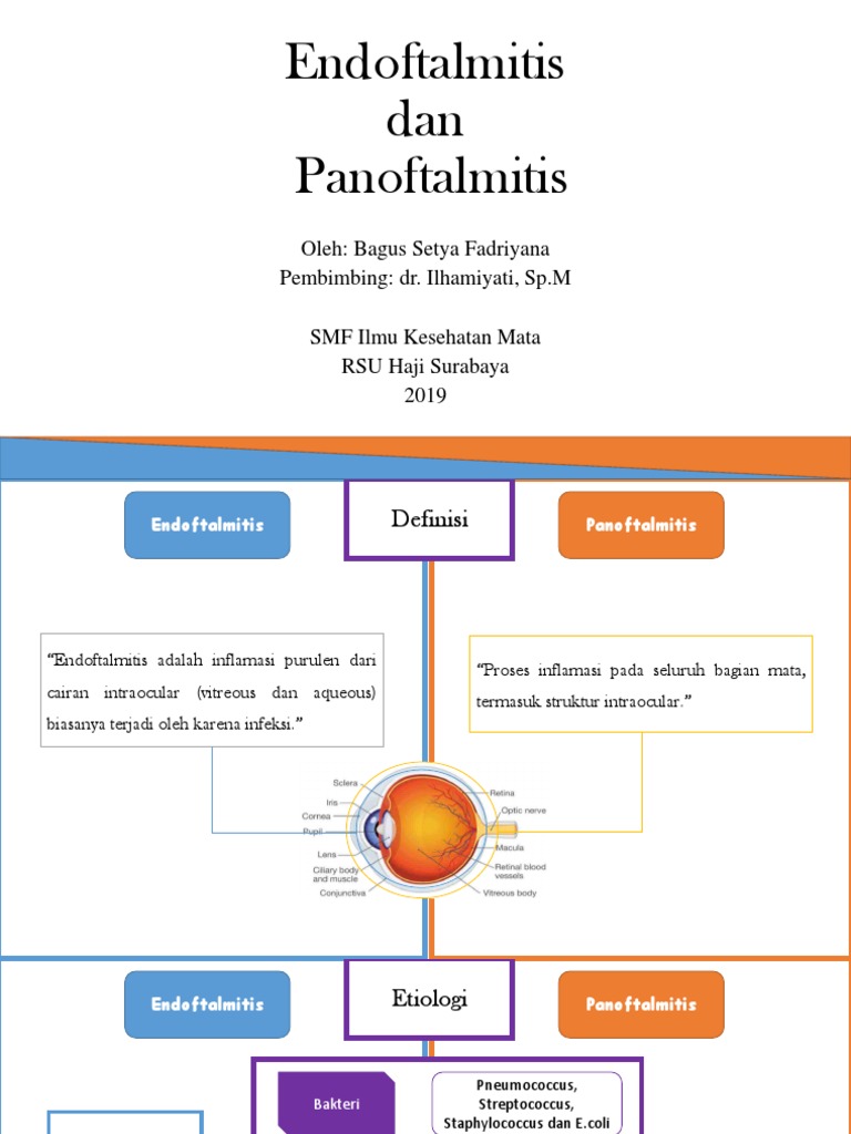 Endoftalmitis Dan Panoftalmitis | PDF