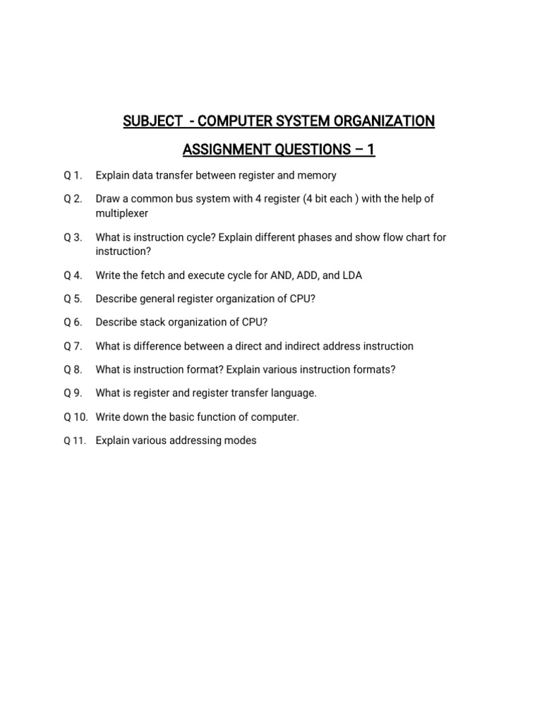 Computer System Organization Assignment | PDF