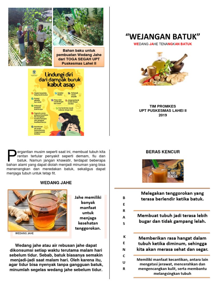 Leaflet Minum Jamu | PDF