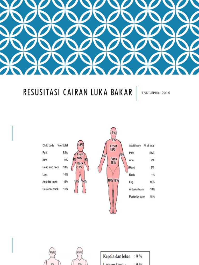 Resusitasi Cairan Luka Bakar | PDF
