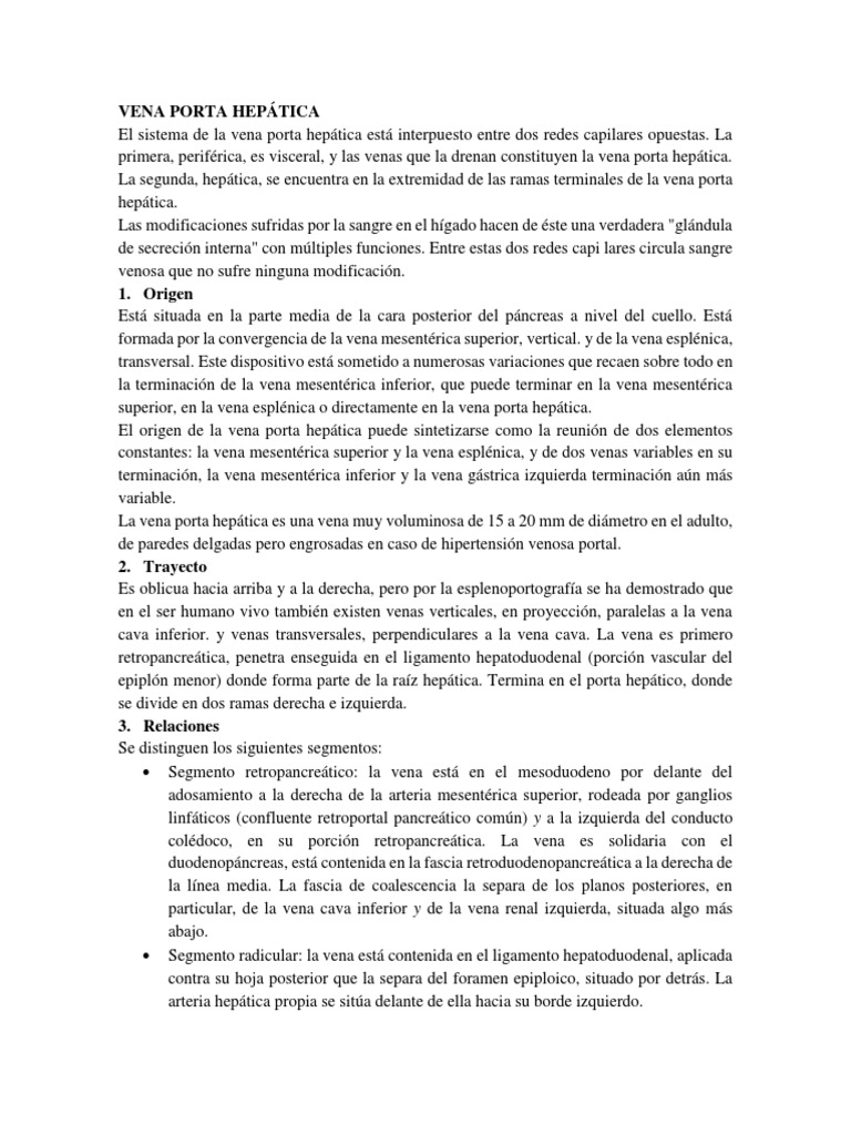 Anatomía de la Vena Porta Hepática | PDF | Hígado | Sistema digestivo