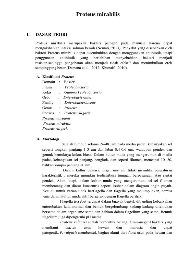 Proteus Mirabilis | PDF