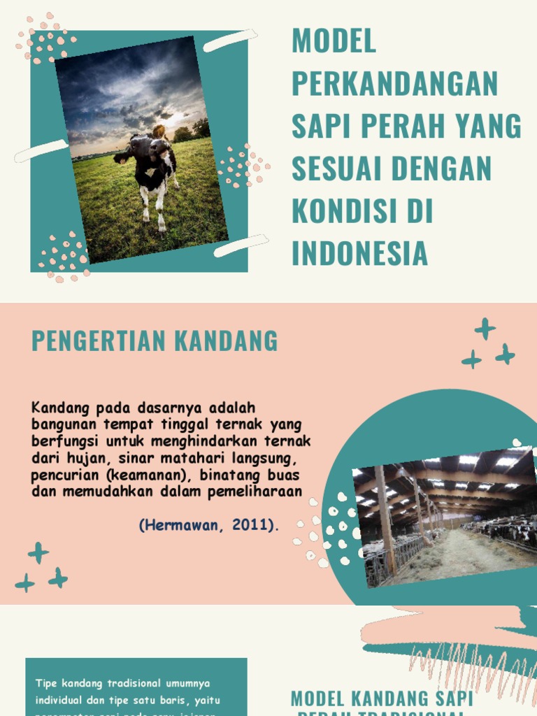 Manajemen Kandang Sapi Perah Di Daerah Tropis | PDF | Griya & Taman