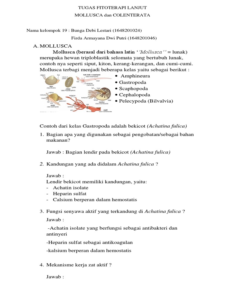 Molusca | PDF