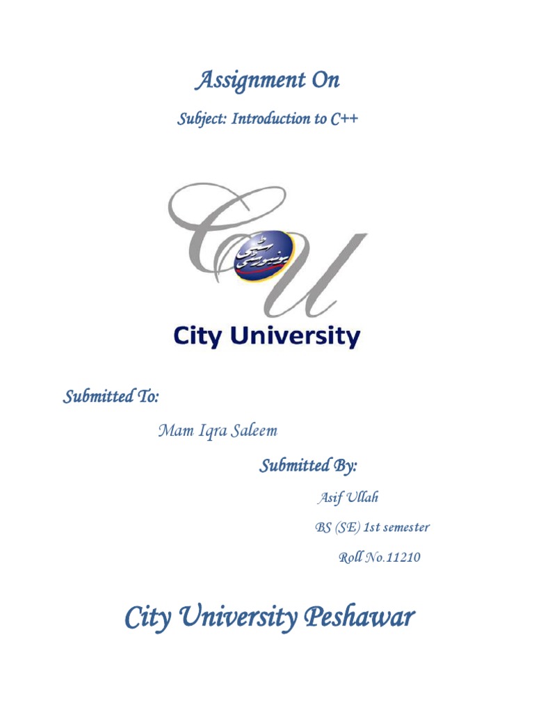 City University Peshawar: Assignment On | PDF