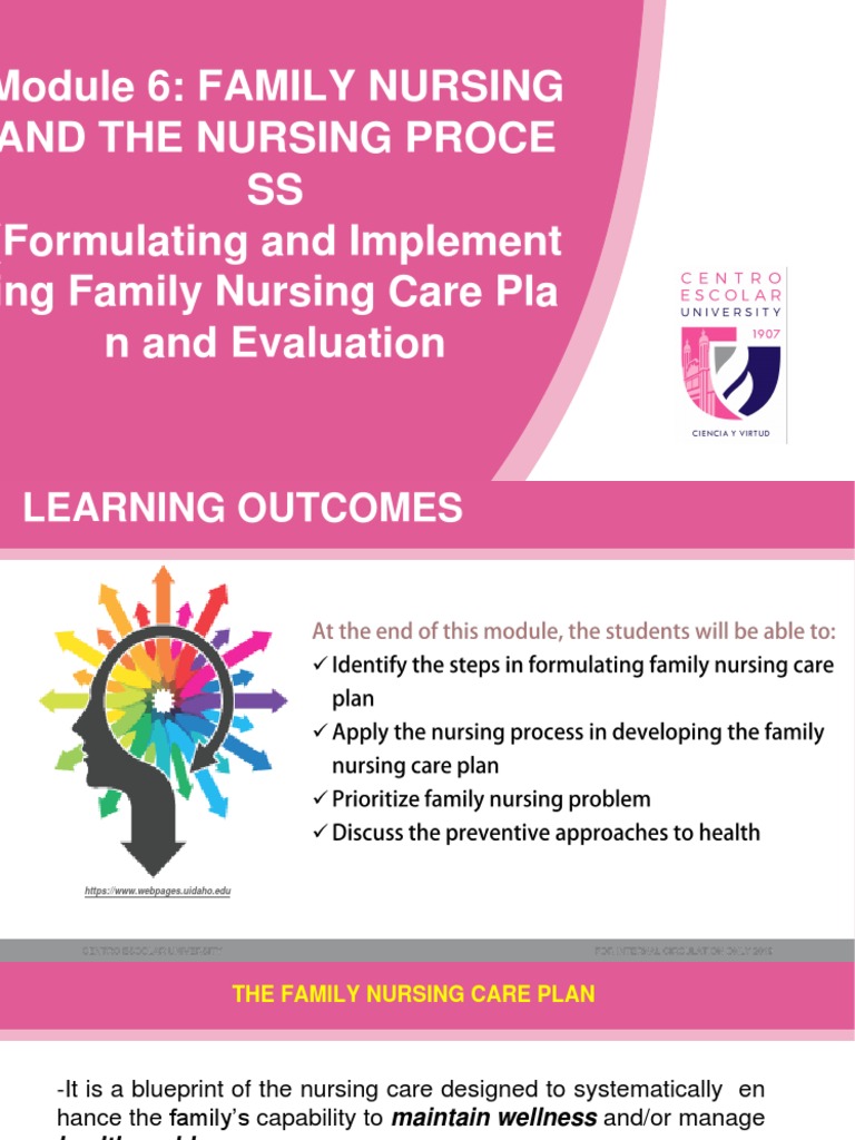 Family Nursing Care Plan Overview | PDF | Nursing | Attention
