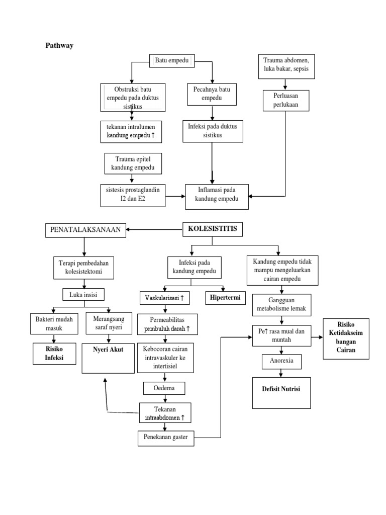 Pathway Kolelitiasis | PDF
